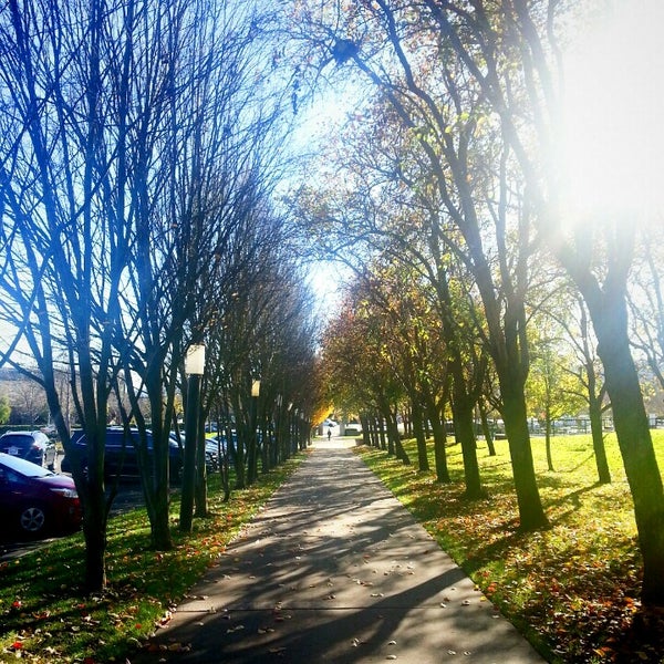 San Ramon Central Park - Park in San Ramon