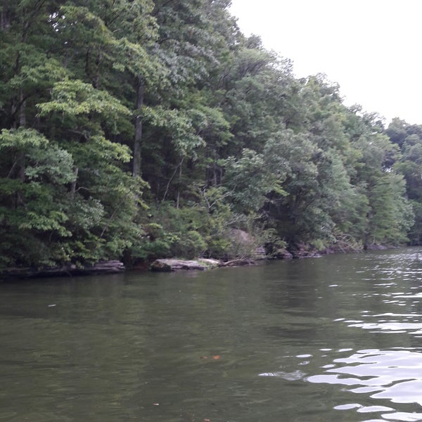 Pickwick Lake - 1 tip from 53 visitors