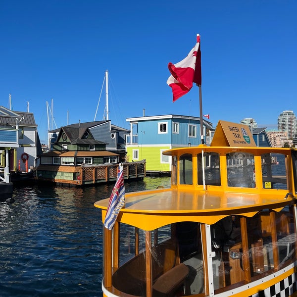 The Fish Store - James Bay - 20 tips