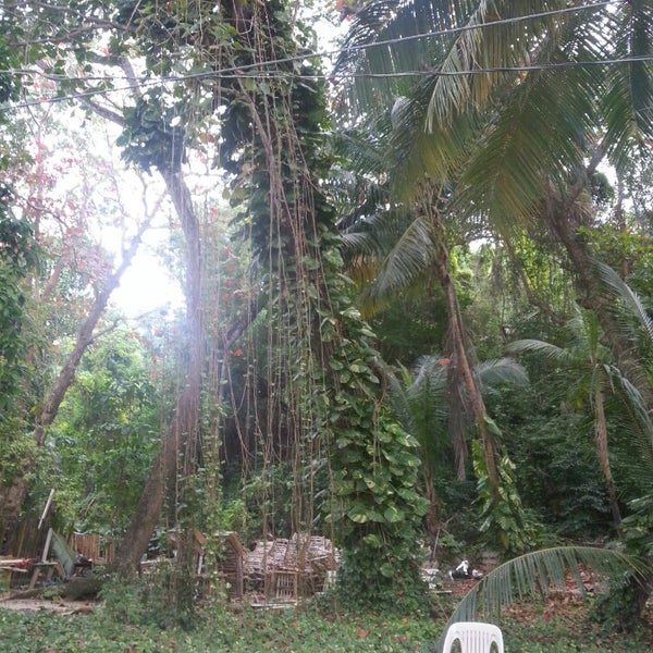 The Swinging Bar - Ocho Rios, Parish of Saint Ann