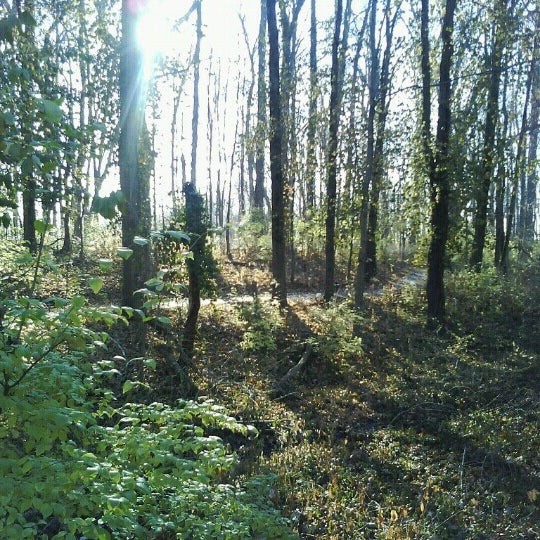 Robert W Groh Community Park - Amelia, OH