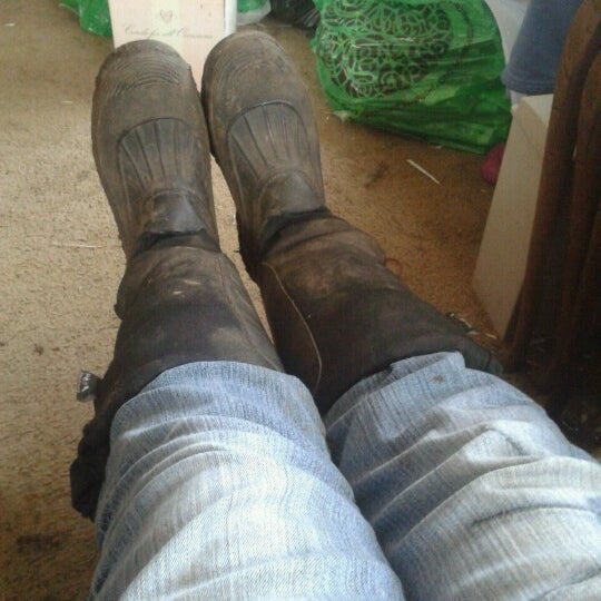 Elverra Pony Rescue Centre - 8 visitors