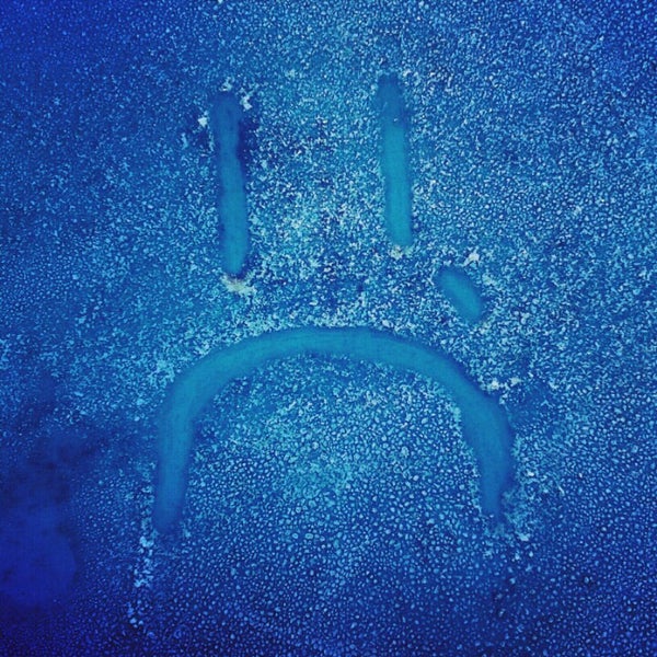 Elverra Pony Rescue Centre - 8 visitors