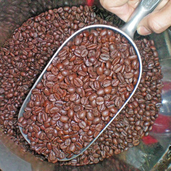 Torrefazione Oriental Caffè - Coffee Roasting Italy - Food and Beverage ...