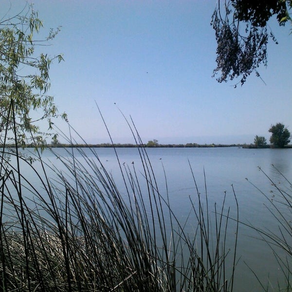 Mendota Slough - River