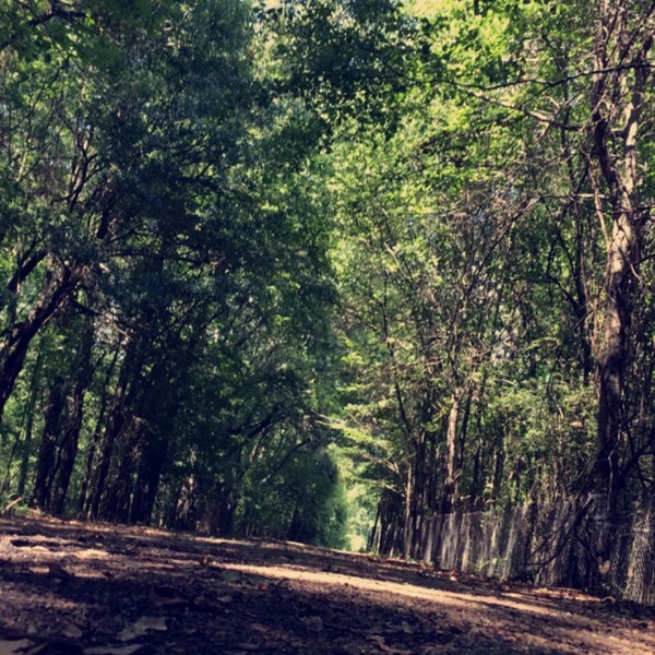 Clinton Nature Center - Clinton, MS