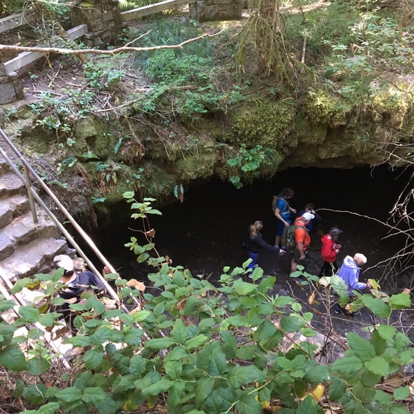 Ape Cave - Hiking Trail