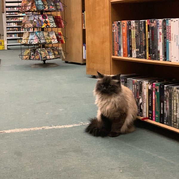 Wee Book Inn - Bookstore in Edmonton