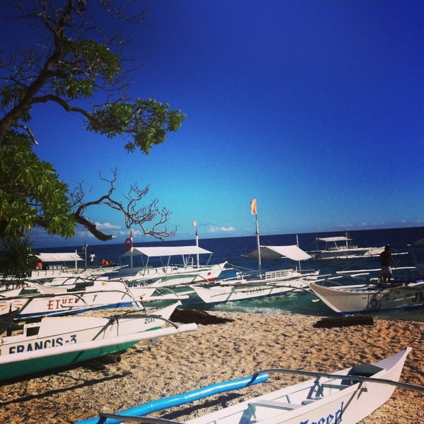 Balicasag Island - 43 tips