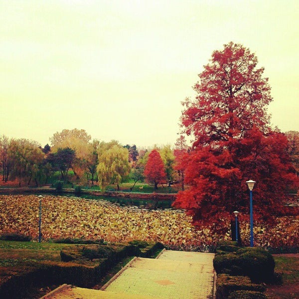 Parcul Circului - Park in București