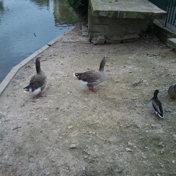 Photos at Parque Urbano de Via Rara - Viarara