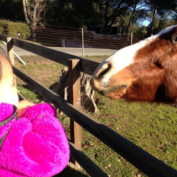Woodside Library - Woodside, CA