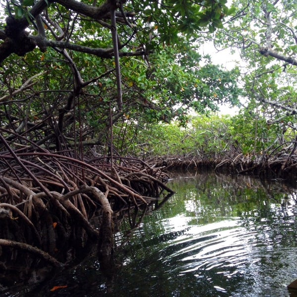 Lucayan National Park - Park