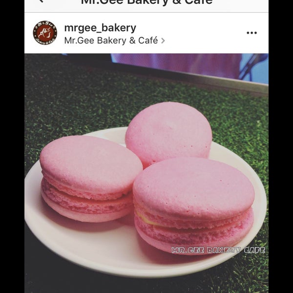 MR.Gee Bakery & Cafe - 3939