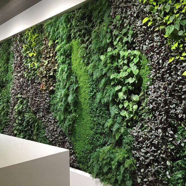 Air New Zealand Koru Lounge - At International Terminal