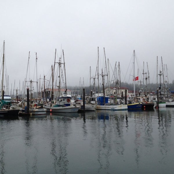 charleston docks - Harbor or Marina