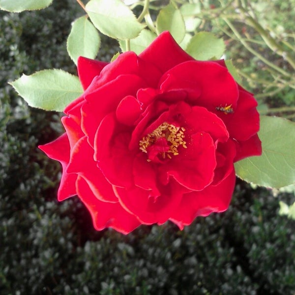 TWRA BUDGET OFFICE - Nashville, TN