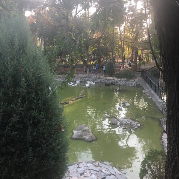 Photos at Tehran Zoo | باغ وحش تهران - منطقه ۵ - Eram Park