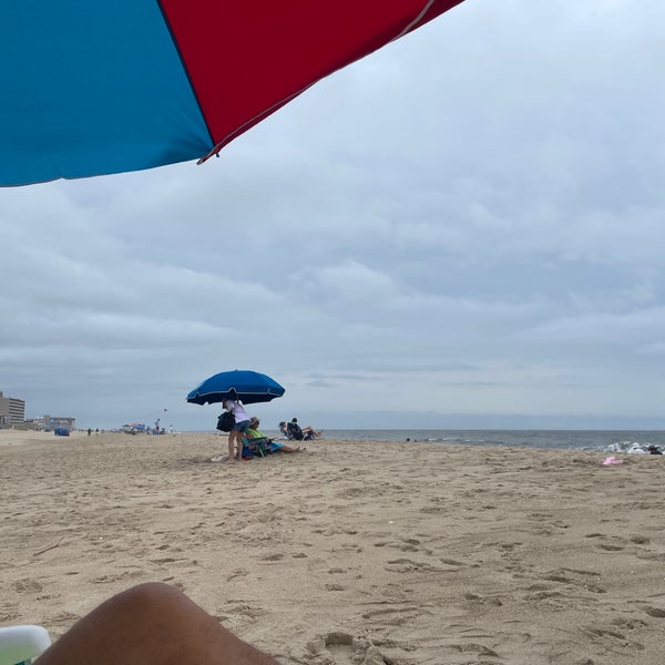 Poodle Beach - Rehoboth Beach, DE