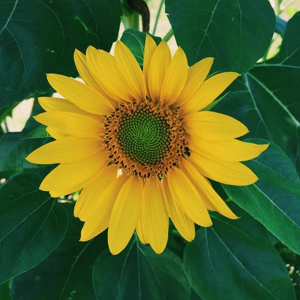 Photos at Guerrero Farm And Nature Park