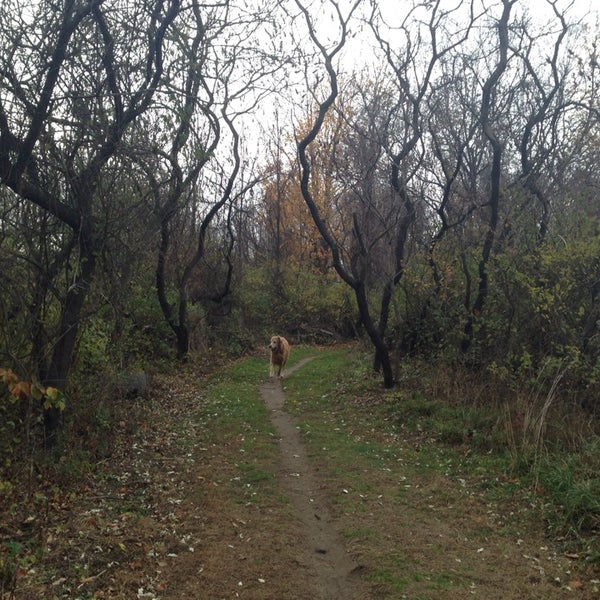 Photos at Whiting Road Nature Preserve - Hiking Trail in Webster