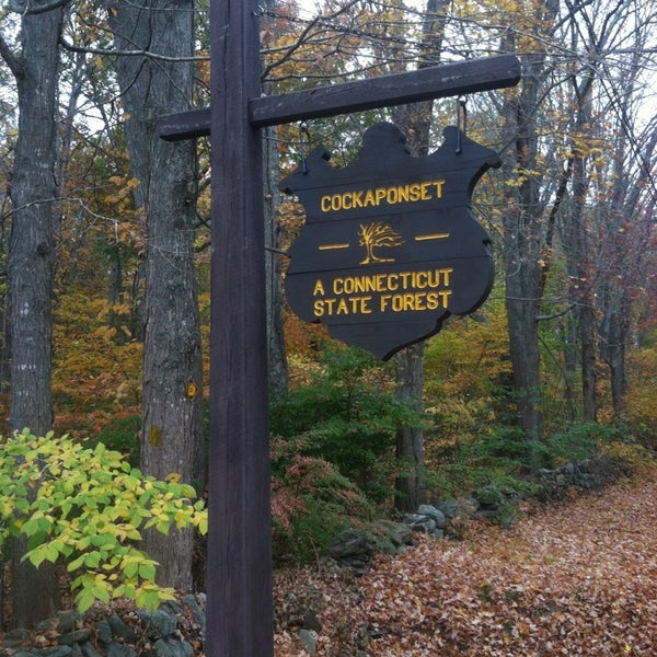 Cockaponset State Forest - Rt 145