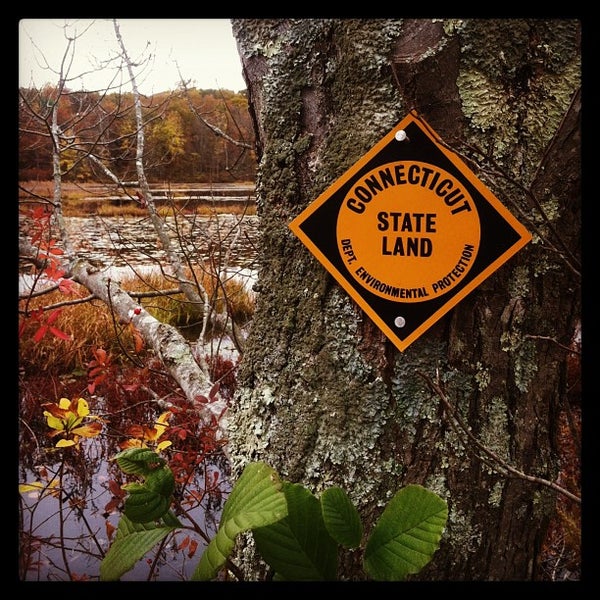 Cockaponset State Forest - Rt 145