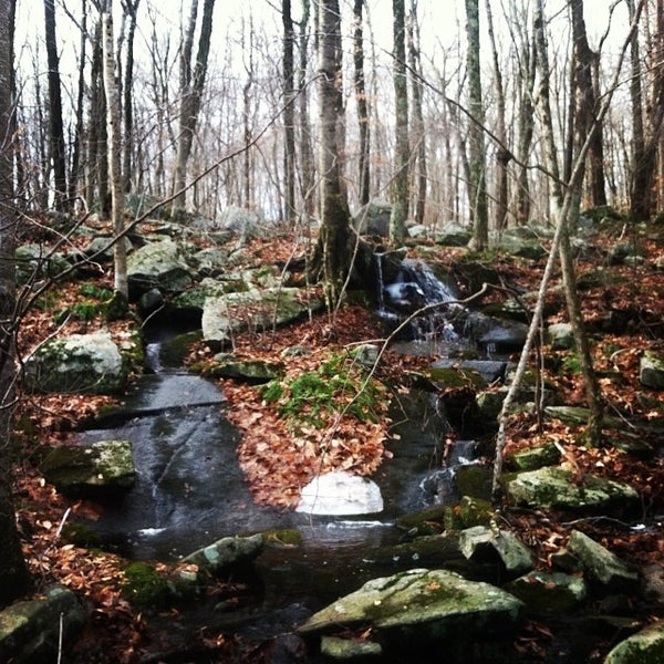 Cockaponset State Forest - Rt 145