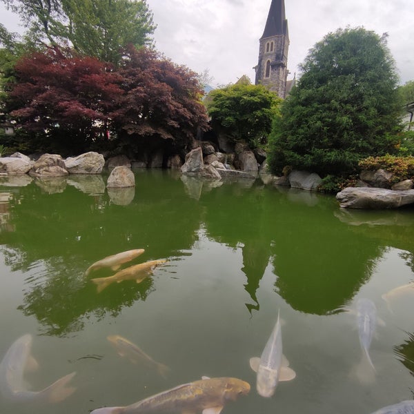 Japanischer Garten Interlaken - Garden