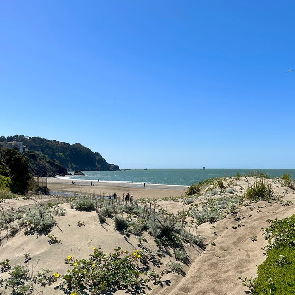 Seacliff - 3 tips from 762 visitors