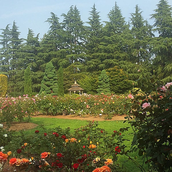 Woodland Park Rose Garden - Garden in Seattle