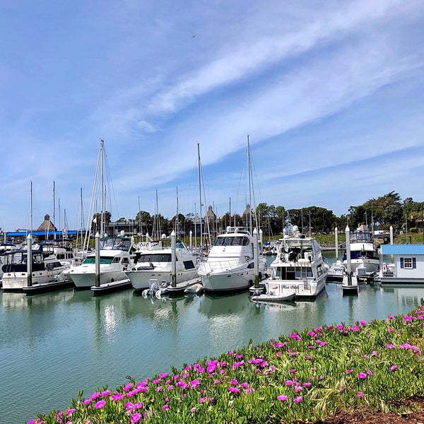 Ballena Bay Marina - Harbor or Marina in West End