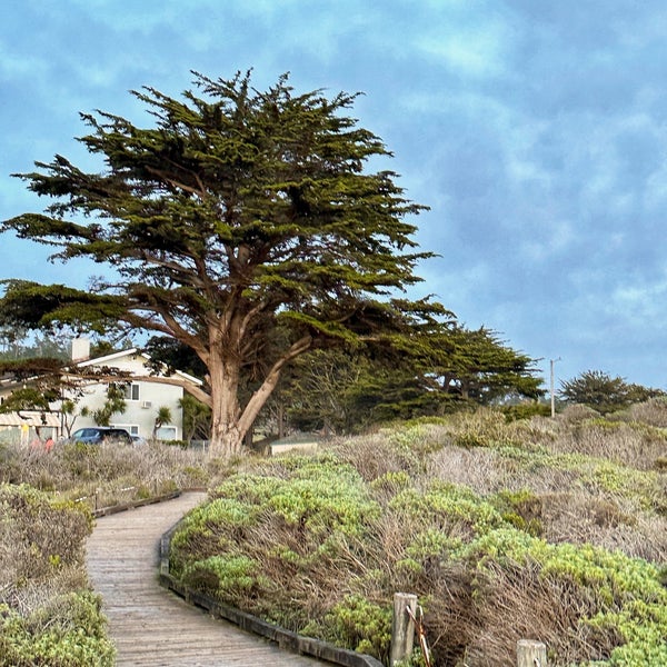 Moonstone Beach Boardwalk - Hiking Trail in Cambria