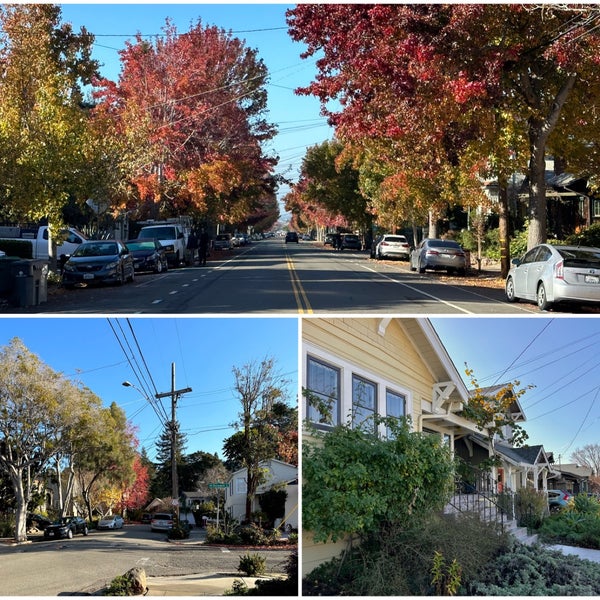 Rockridge - Oakland, CA