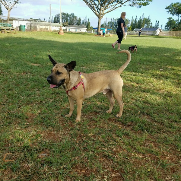 Mililani Dog Park - Mililani Town, HI