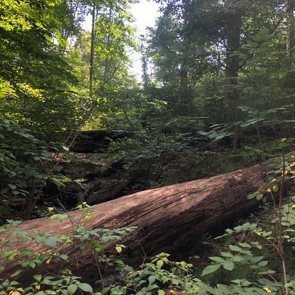 Lorimer Park - 4 tips from 370 visitors