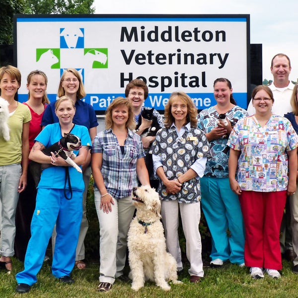 Middleton Veterinary Hospital - 2705 Parmenter St