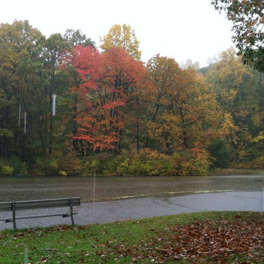 Walrus Pond (Jim Fear Park) - Park