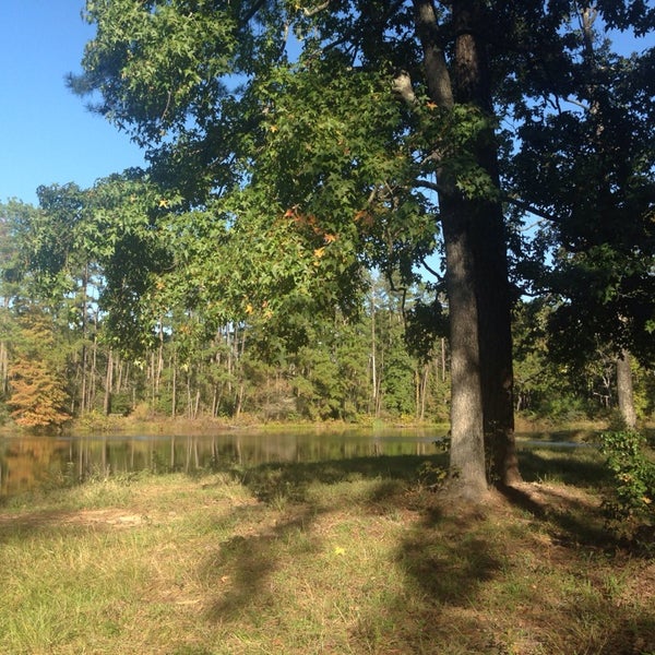 W G Jones State Forest - Park in Conroe