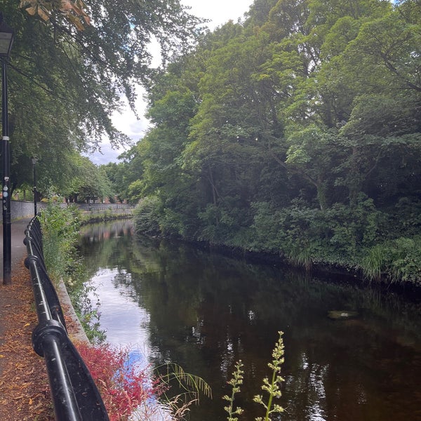 River Dodder - 1 tip from 258 visitors
