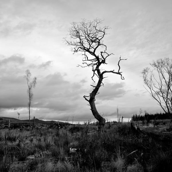 Strathpeffer - Highland, Highland