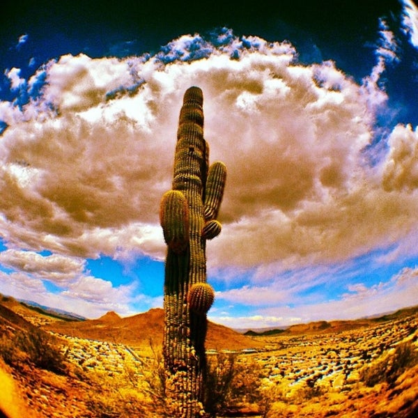 Thunderbird Mountain - Deer Valley - Phoenix, AZ
