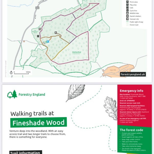 Fineshade Woods - 5 tips from 96 visitors