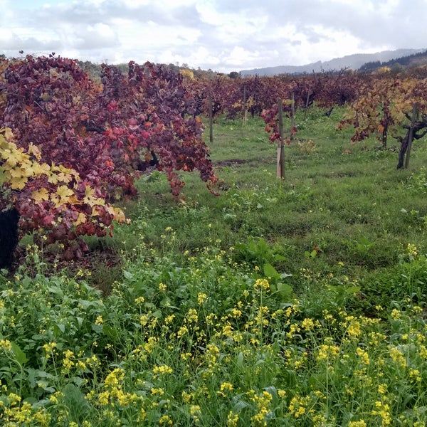 Yoakim Bridge Winery - Winery