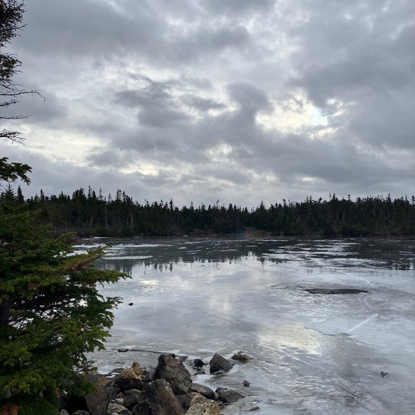 Octagon Pond - 3 tips