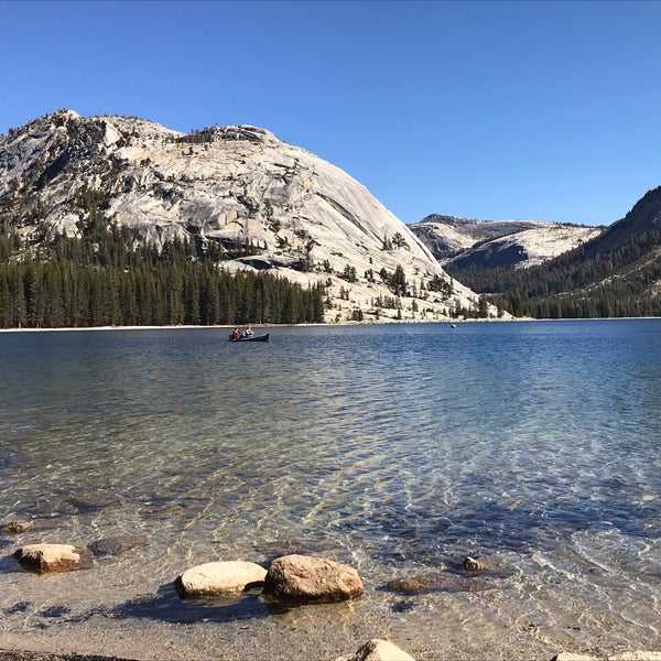 Tenaya Lake - 4 tips from 316 visitors