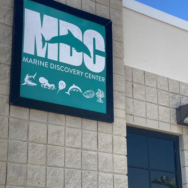 Marine Discovery Center - 5 tips from 148 visitors