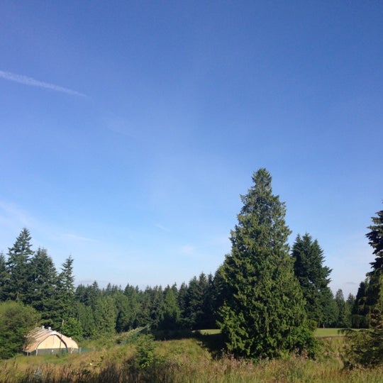 Kayak Point Golf Course - Golf Course