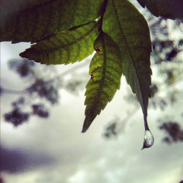 Kibbutz Beit Zera - 26 visitors