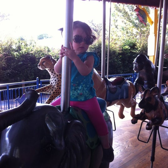 Photos at Houston Zoo Carousel - Medical Center - Houston, TX